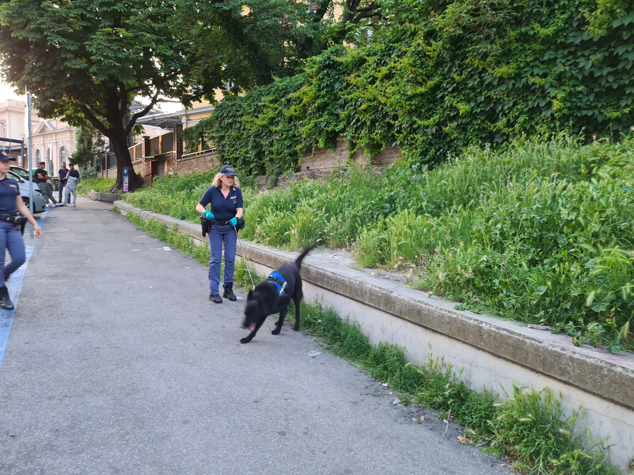 Controlli in città: più di 2 etti di hashish rinvenuti nei parchi ... Controlli in città: più di 2 etti di hashish rinvenuti nei parchi ...
